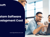 Top Software Development Company Since 13 Years Digisoft Solution