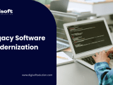 Top Software Development Company Since 13 Years Digisoft Solution