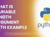 What Is Variable Length Argument In Python With Example