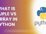 What Is Tuple Vs Array In Python