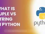 What Is Tuple Vs String In Python