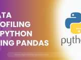 Data Profiling In Python Using Pandas