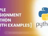 Tuple Assignment Python With Examples
