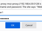 Local Users Web Filtering Proxy