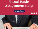 Visual Basic Assignment Help Uk Zero Ai 100 Human Experts