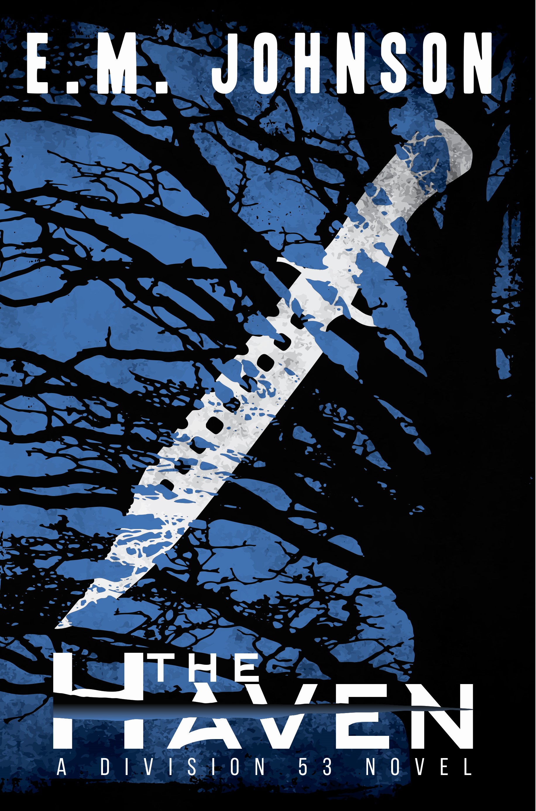 Division 53 – A Series by E.M. Johnson