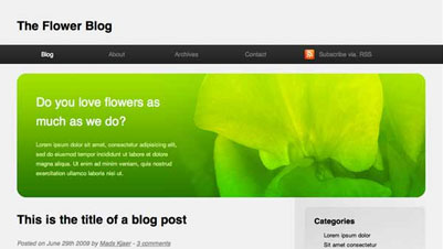 50 Advanced CSS3 Techniques and Tutorials - DJ Designer Lab
