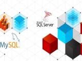 Difference Between Mysql And Sql Server Web Hosting In Pakistan