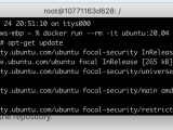 Bringing Docker Scan To Linux Docker