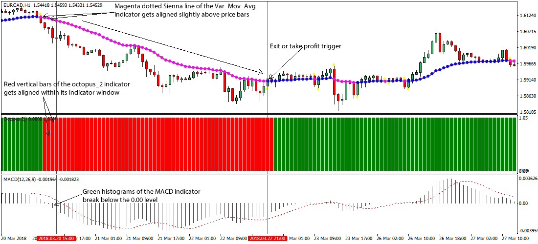 Advanced MACD Forex Strategy