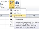 Sorting By Multiple Column In Excel 2010