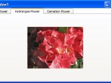Wpf Tabcontrol In Vb Net