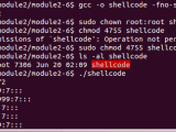 Execve Shellcode Includes Arguments And Generator