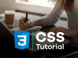 Learn Css From Basic To Advanced Level With Examples Dremendo
