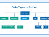 Data Types In Python Programming Language Dremendo