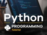 Master Python Programming Learn From Basic To Advance Dremendo