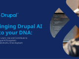 Installing The Ai Module And Basic Features Webinar Recap Drupal Org