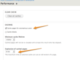 Suppress Caching For Development Or To Use An External Page Cache