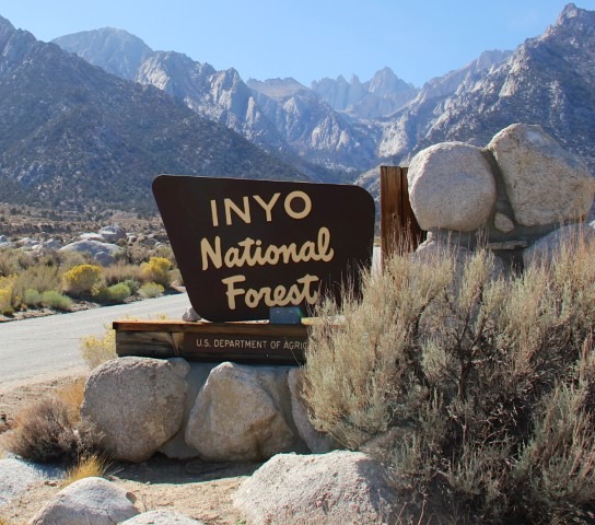 A New Interagency Fire Management Officer for Inyo National Forest ...