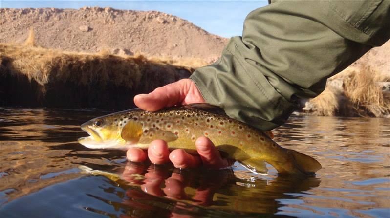 "This storm is great news for the fisheries in this part of the world ...