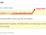 How To Set Up Cron Job For Wordpress Automatic Plugin