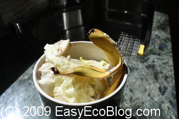 What to Compost, How to Compost, and Why Compost