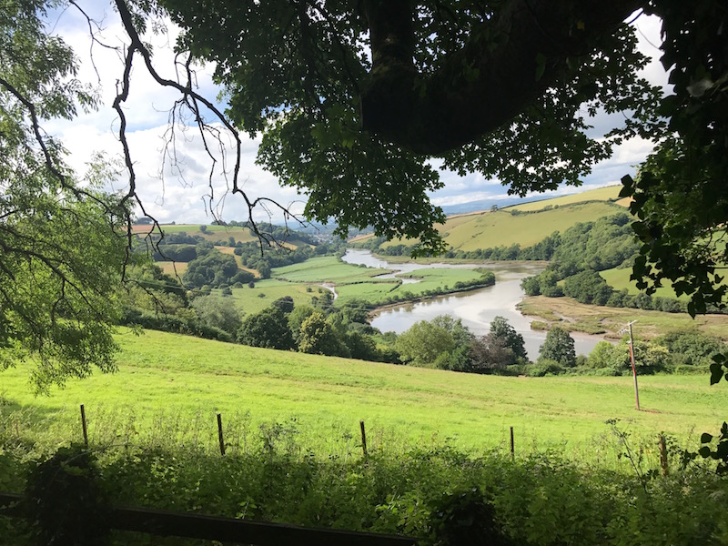 Vineyard Kitchen at the Sharpham Estate - because vineyards aren't just ...