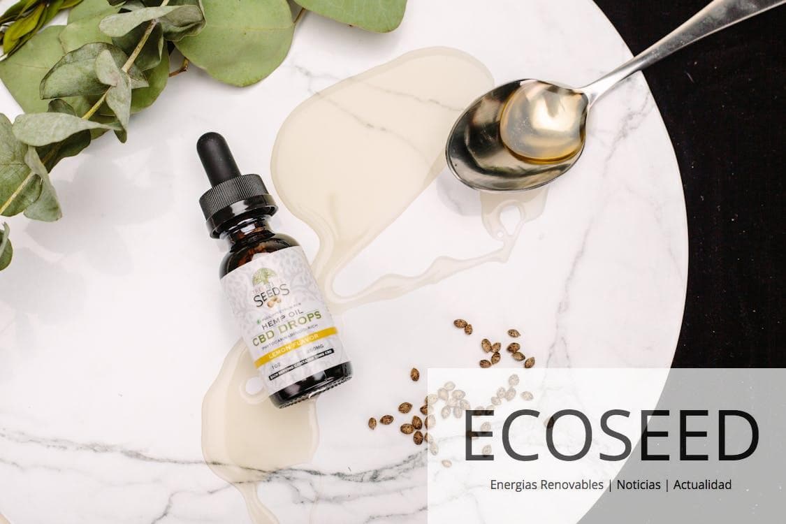 Beneficios Del Cbd Para La Ansiedad Ecoseed