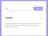 Build English Dictionary App Using Javascript Html5 Css3