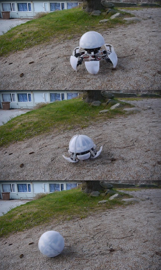 Hexapod robot can transform, roll out in a ball – EEJournal