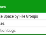 The Ms Sql Databases Layer