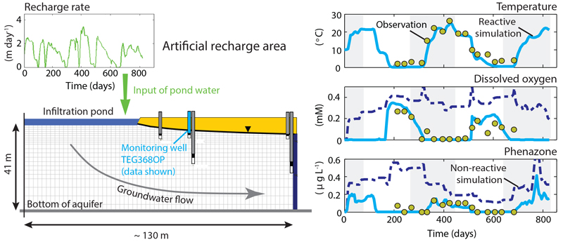 Using Reactive Transport Models to Quantify and Predict Groundwater ...