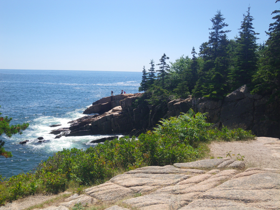 Renewal | Elizabeth Fram