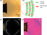 Optofluidic Lasers Smectic Vs Soap Bubble Approaches