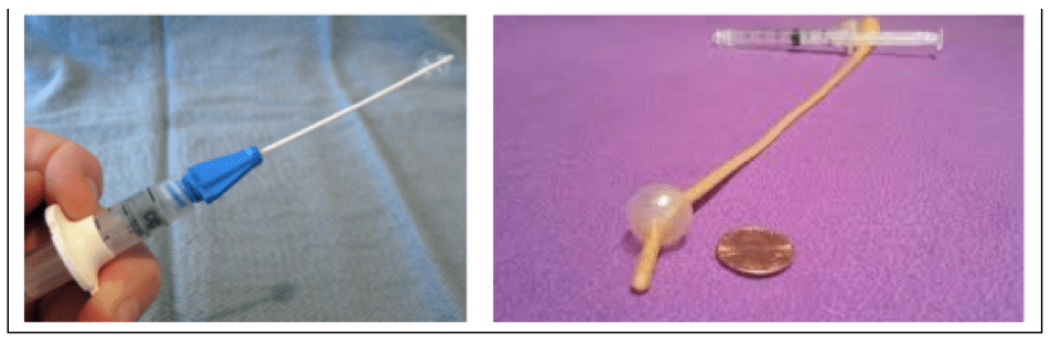 emDOCs.net – Emergency Medicine EducationHEENT: Tips for Addressing ...