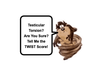 emDOCs.net – Emergency Medicine EducationTesticular Workup for Ischemia ...