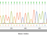Plotdnasequencinganalysis Documentation