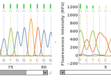 Plotdnasequencinganalysis Documentation