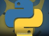 Python Network Programming Bundle Epic Bundle