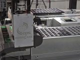 Ic And Device Programming Services