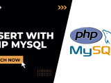 Display Data Using Php Mysql Database