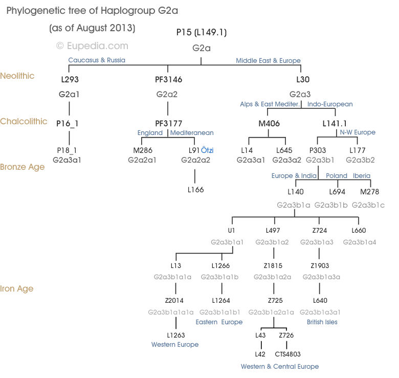 Haplogroups – From the Craddle « Cradle of Civilization