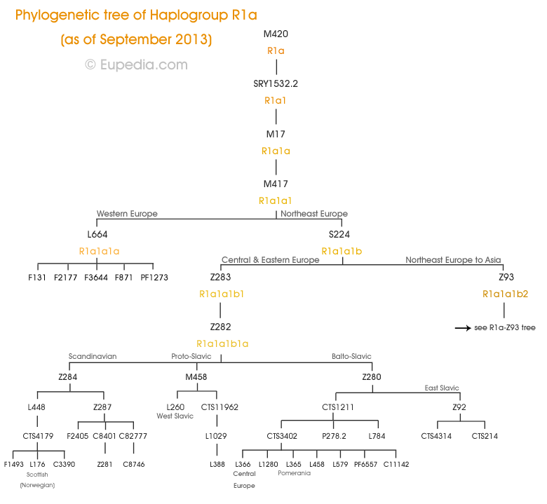 Haplogroups – From the Craddle « Cradle of Civilization