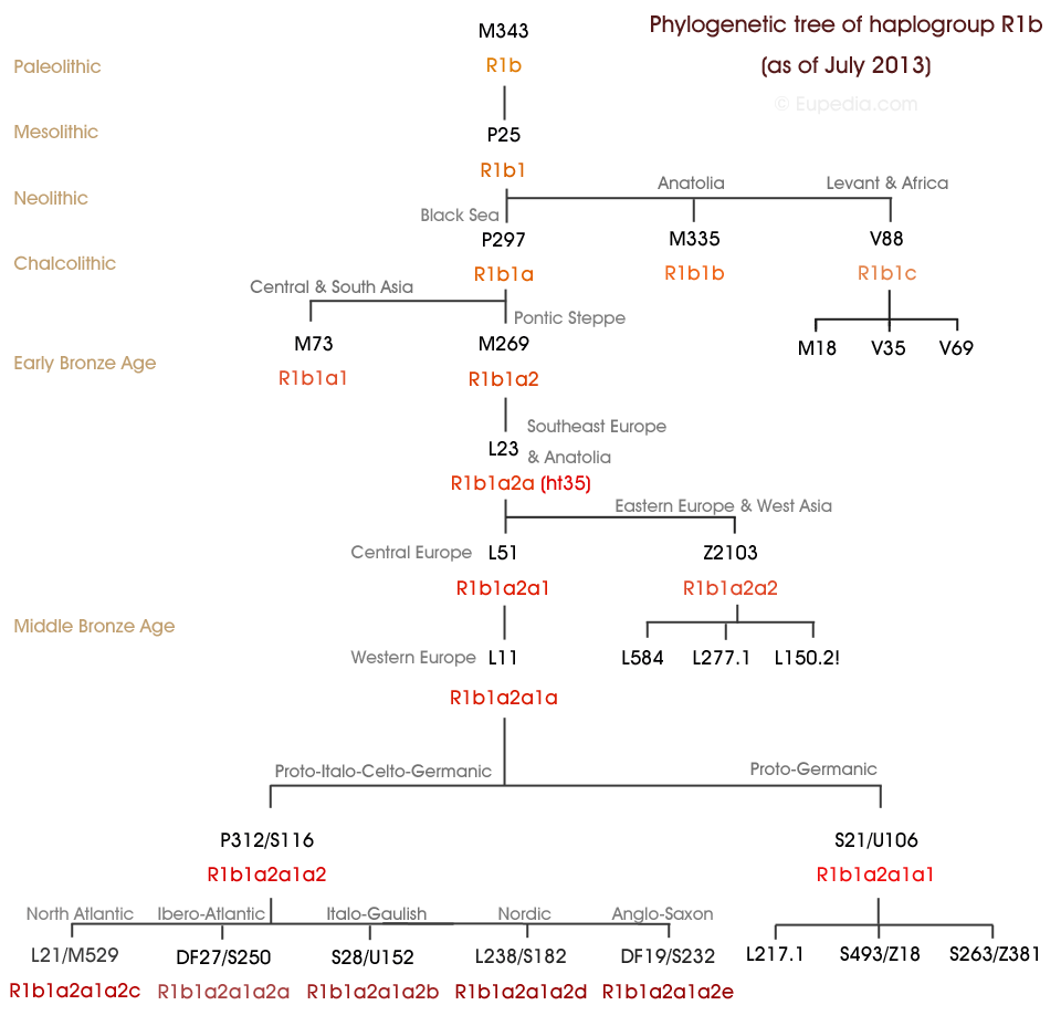 Haplogroups – From the Craddle « Cradle of Civilization