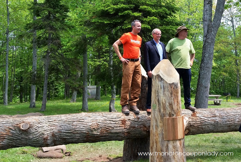 Bienenstock Natural Playground