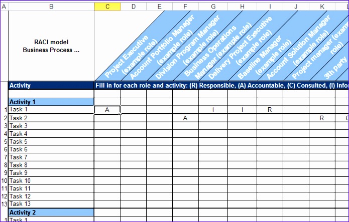 Responsibility Assignment Matrix Template Excel Printable Paper ...