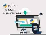 Python The Programming Language Of The Future Exeideas Let S Your