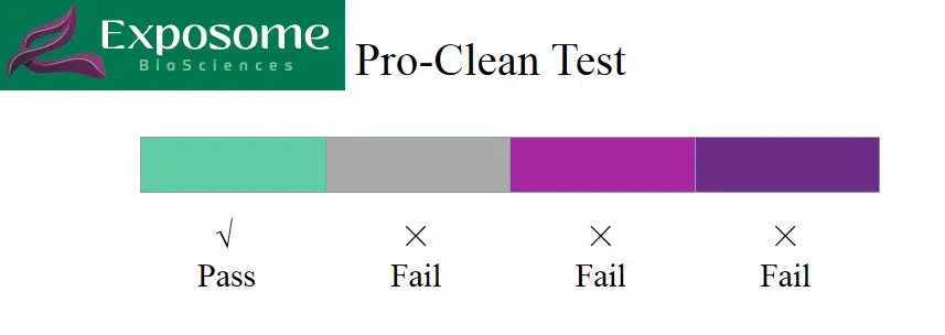 Rapid Surface Hygiene Test Swabs | Exposome BioSciences