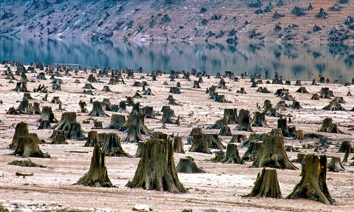 20 images that show the human impact on the planet