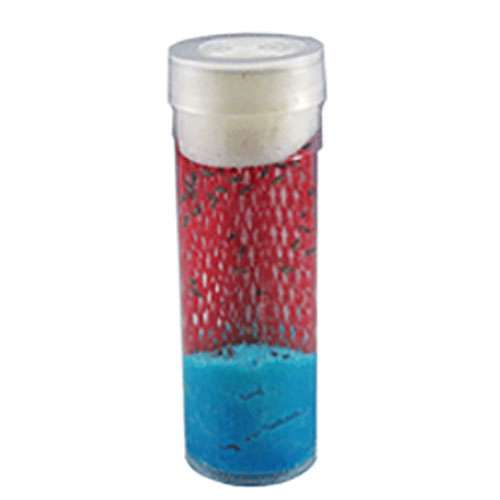 Delicious Fruit Fly Melanogaster for your small frogs!